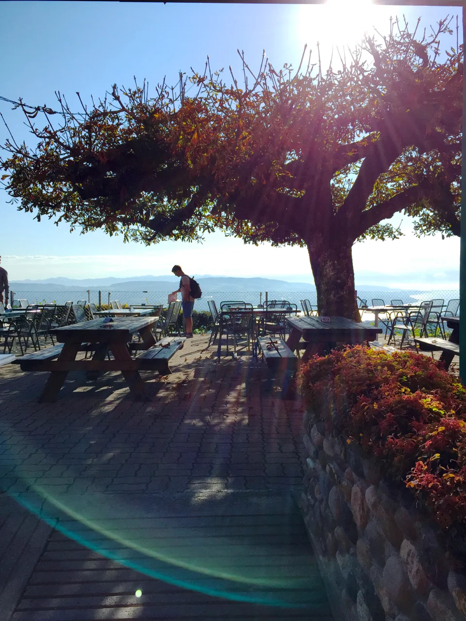Felsenegg-Uetliberg: My First Hike in Switzerland — living minnaly